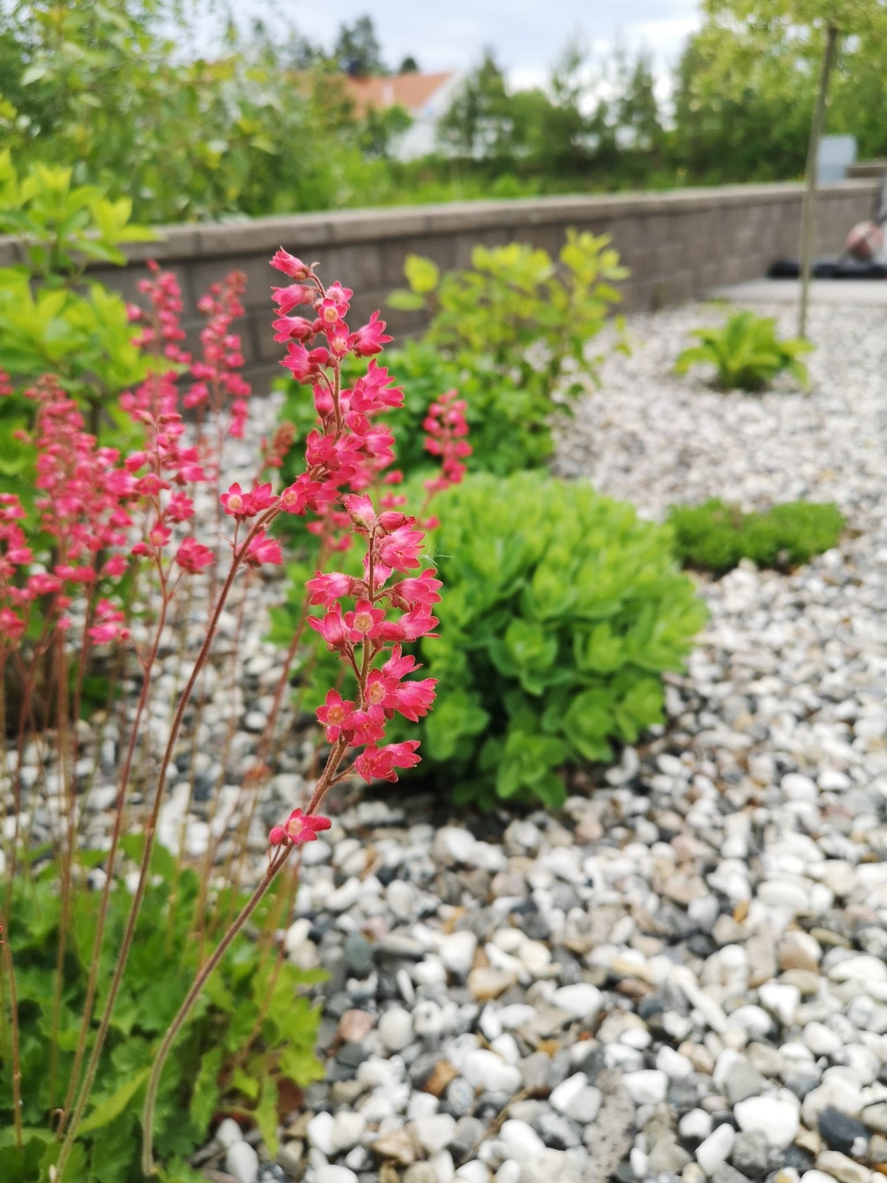 Sjösingel Svart/Vit 16-32 Storsäck 500kg— Stenbolaget